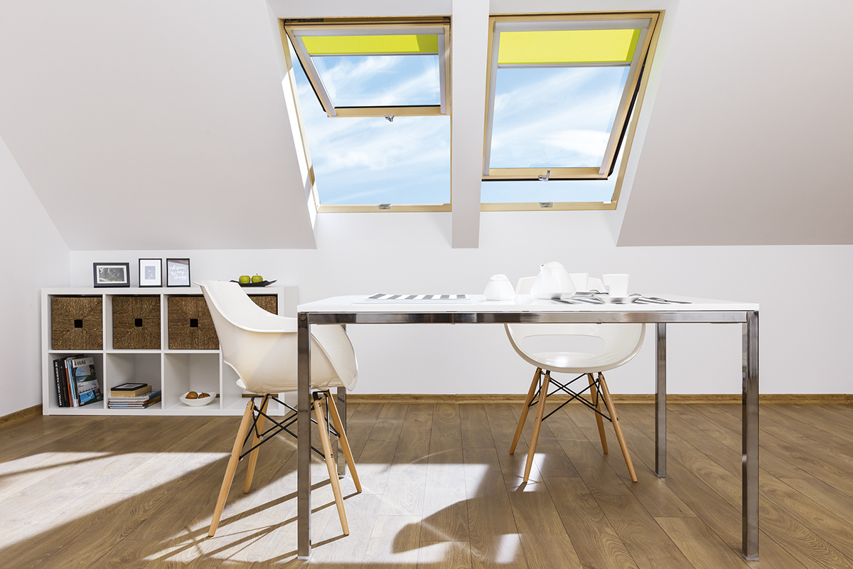 Dual Function Top Hung & Pivot Windows - FAKRO